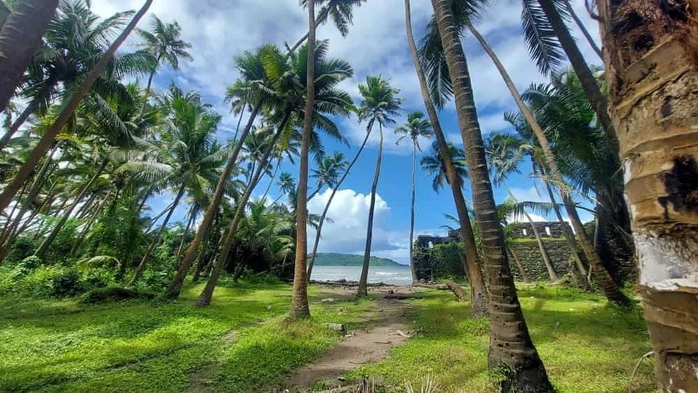 Tent by the Bay, Revdanda Beach - Camping in Alibaug - Leisurekart